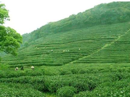 Hangzhou One-Day Tour [Round Trip by High-speed Rail + Cruise on West ...